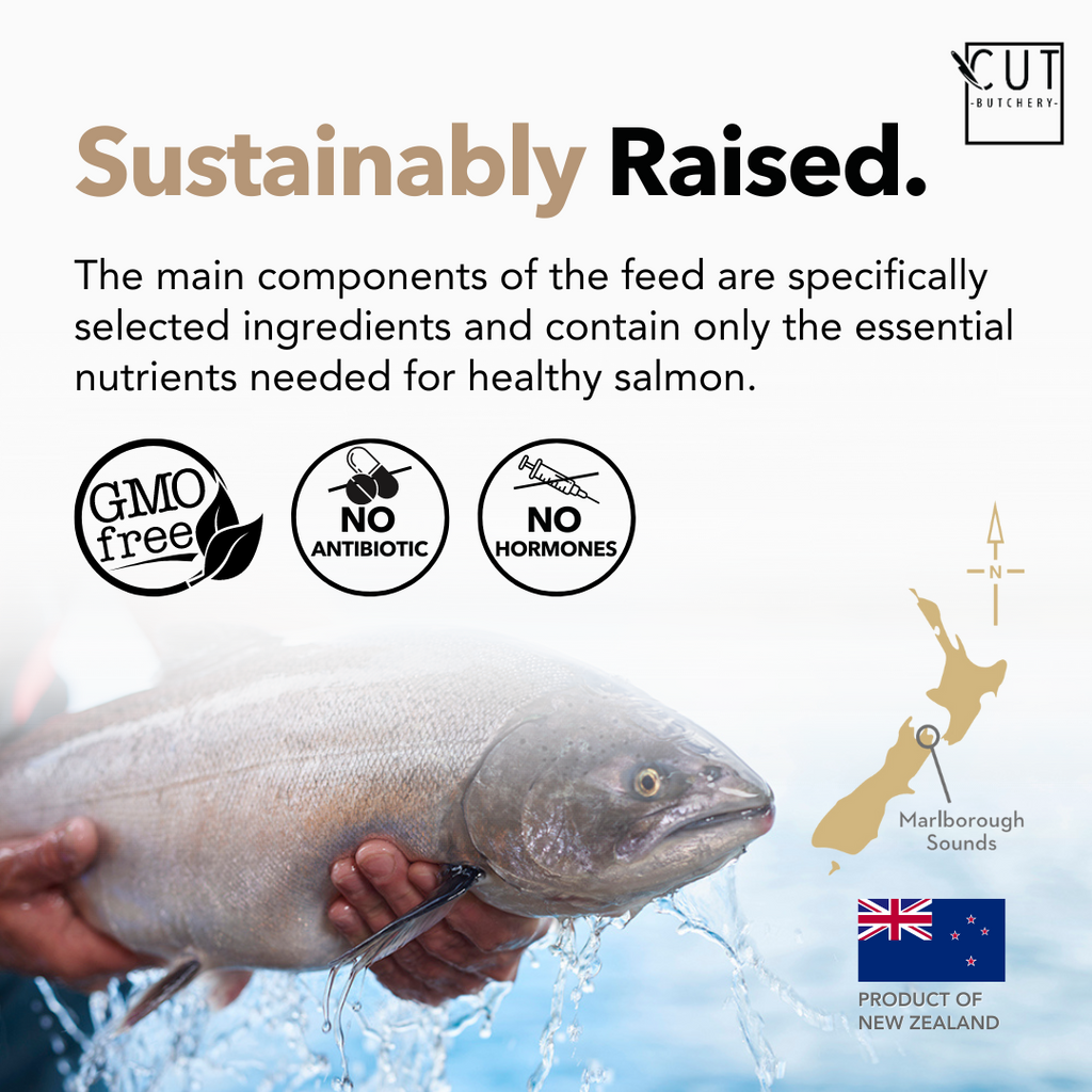 REGAL NEW ZEALAND KING SALMON (WHOLE) – Cut Butchery