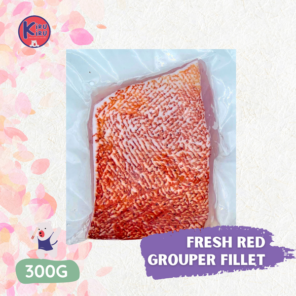 FRESH RED GROUPER FILLET – Cut Butchery